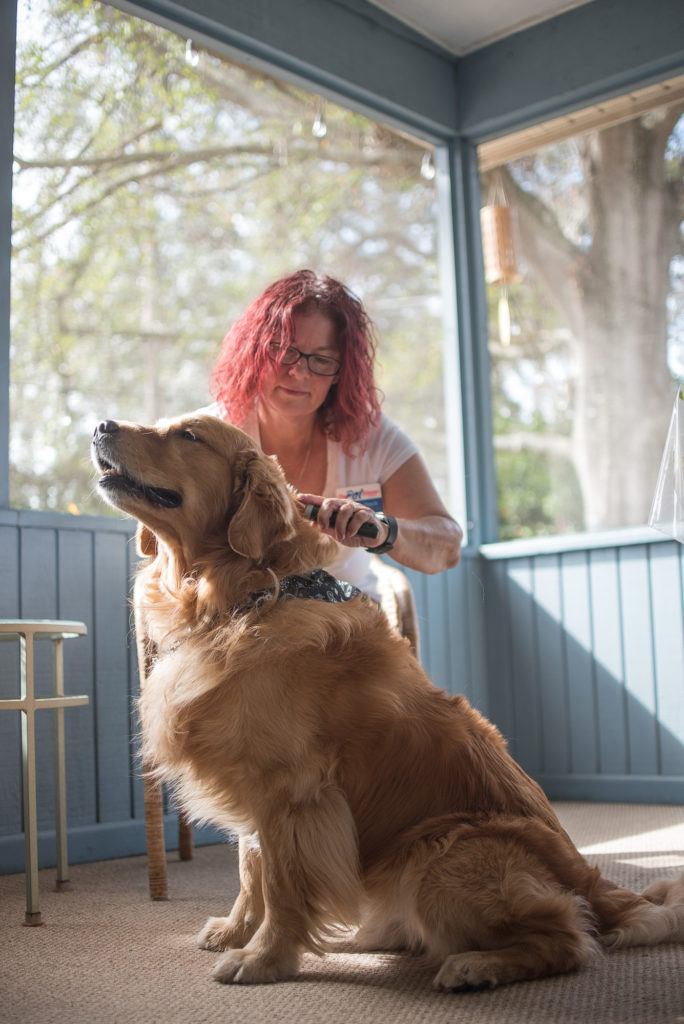 Pet Sitting Services - The Pet Nanny Lakeland - Gina Bullock - Pet Sitter